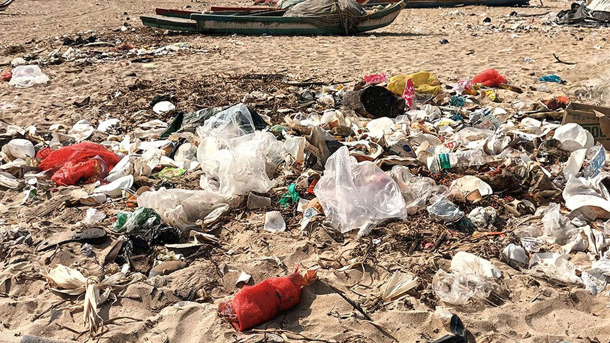 Tamil Nadu Pollution Control Board to launch year-long plastic waste ...