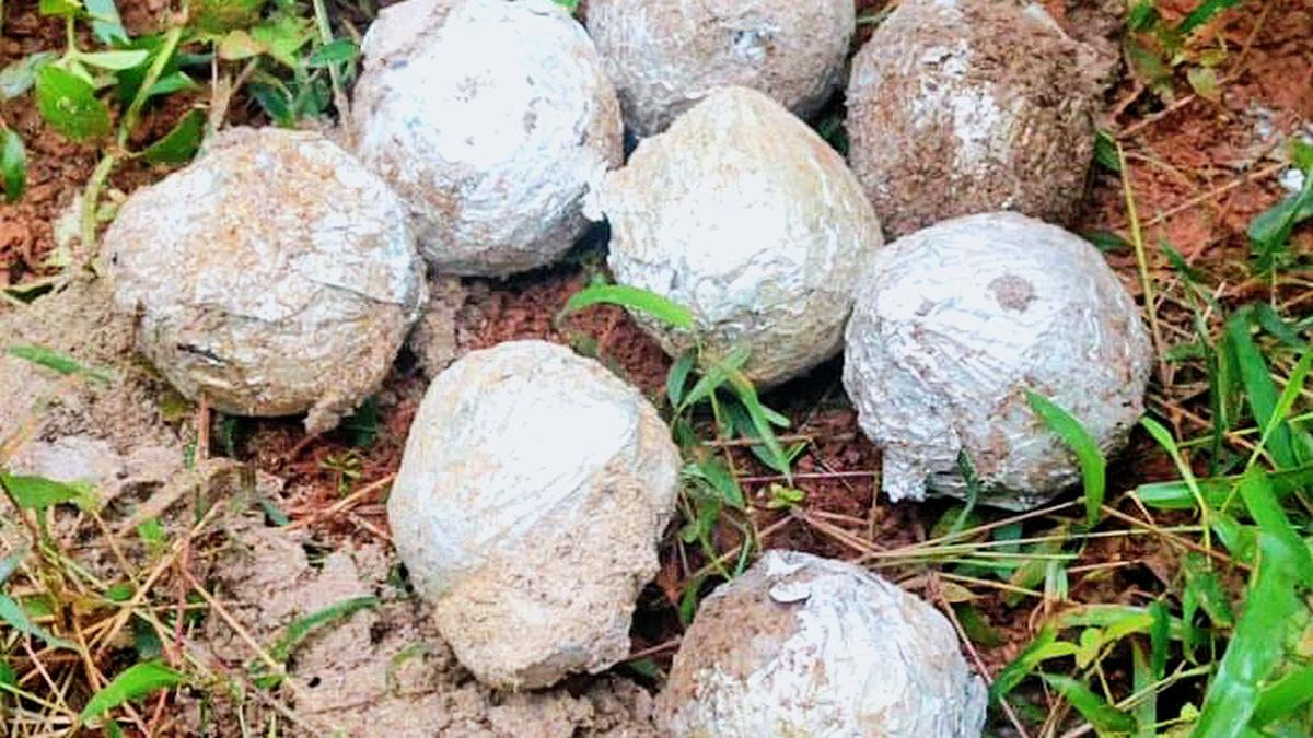 Several injured in clash in Bengal's Birbhum, 12 arrested - The Hindu