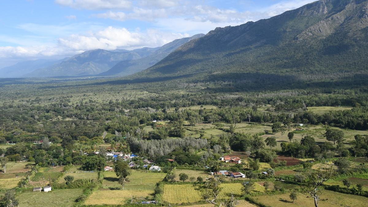 Plans to denotify 20% of all land protected by TNPPF Act in the ...