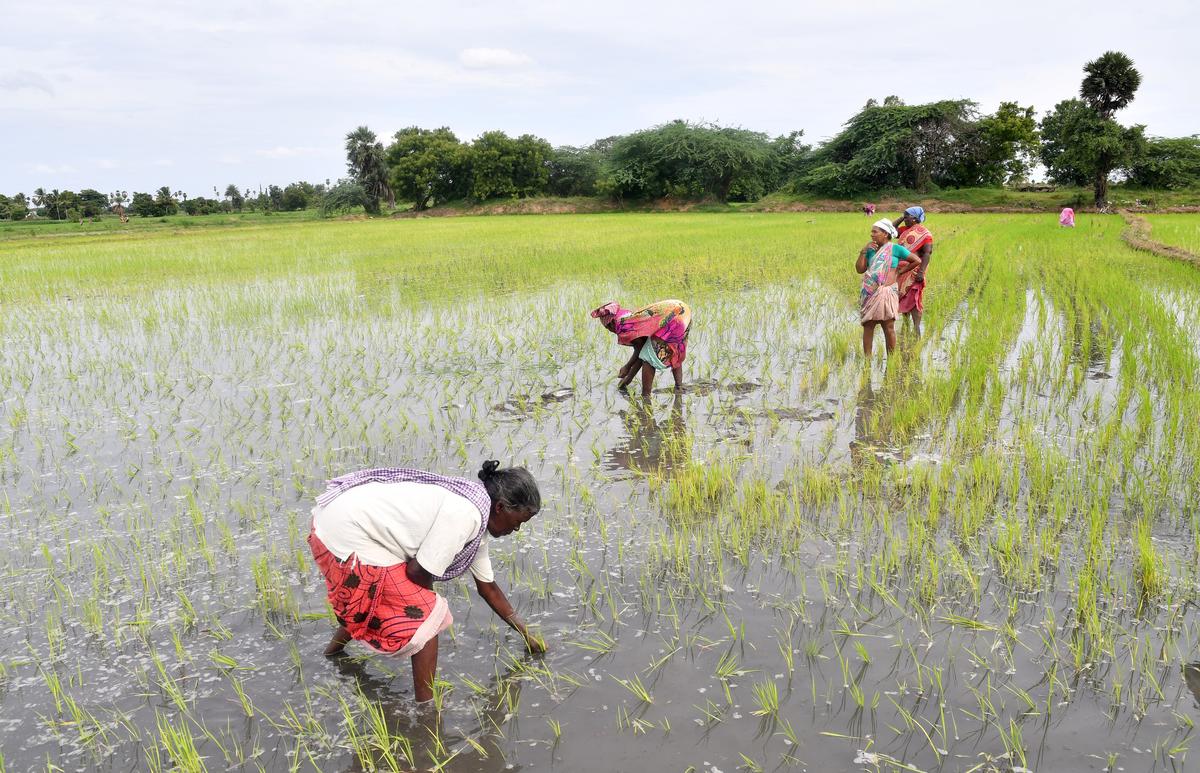 Why are villagers against Chennai’s second airport at parandur? - The Hindu