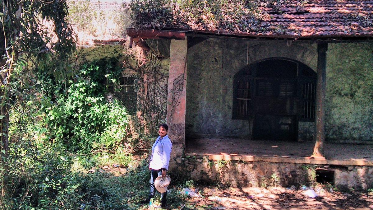 An estate bungalow of Raj goes to seed - The Hindu