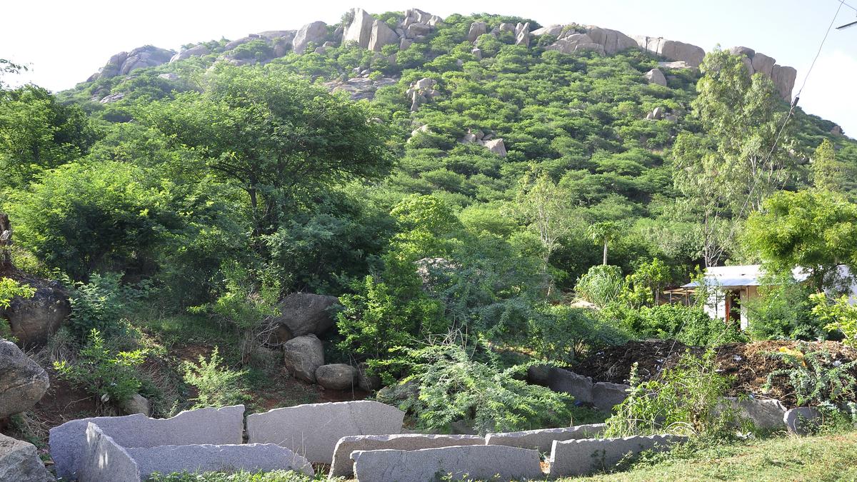 One lakh saplings in 11 acres: New botanical garden in Tumakuru to ...