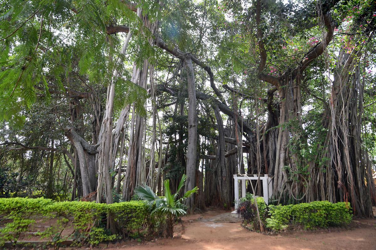 5 destinations in Karnataka proposed for iconic tourism centre ...