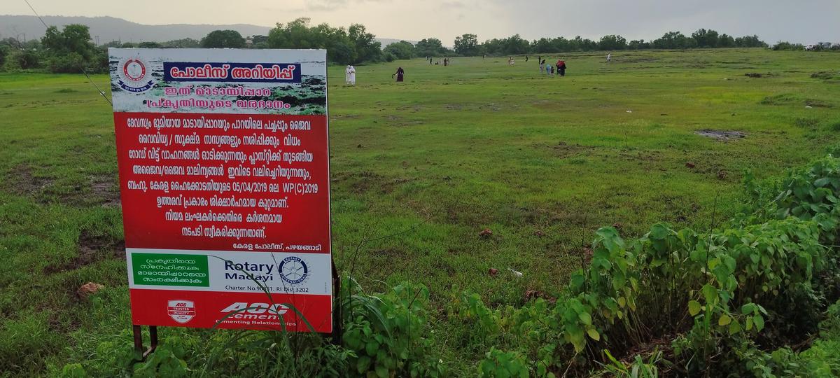 Madayipara’s deep blue flower bloom thrills tourists but faces ...