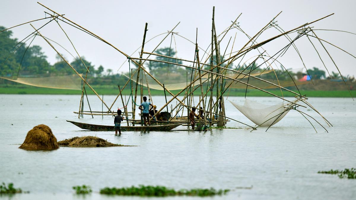 Flood situation remains grim in Assam; administration yet to reach all ...