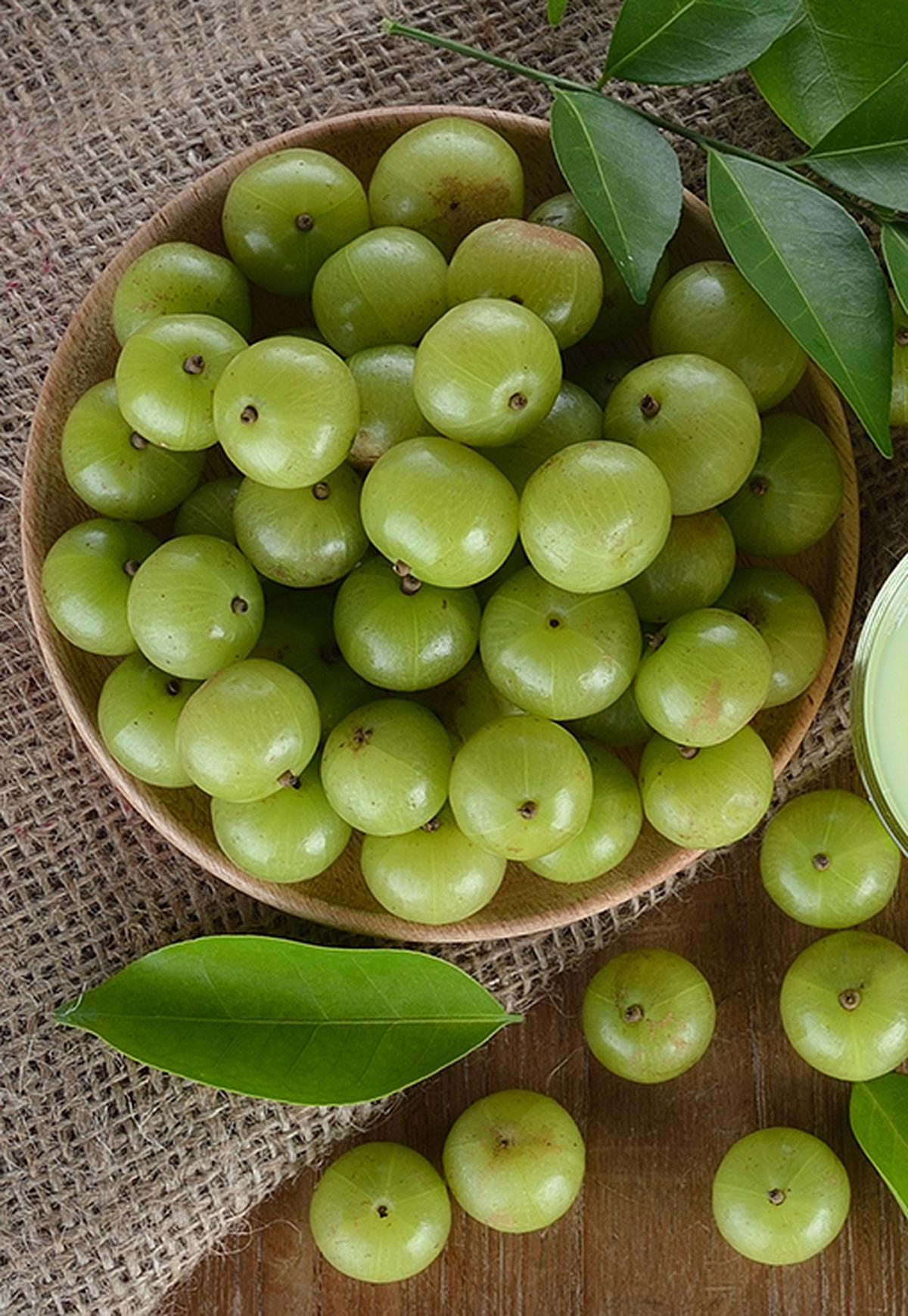 What’s the trending drink this summer in Coimbatore? - The Hindu