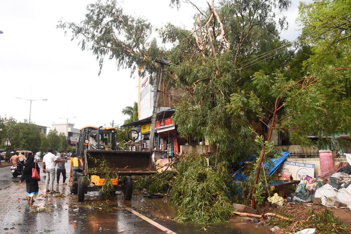 Heavy rain and wind lash Yadgir city - The Hindu