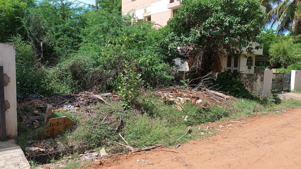 Poorly maintained vacant plots continue to challenge Tiruchi ...