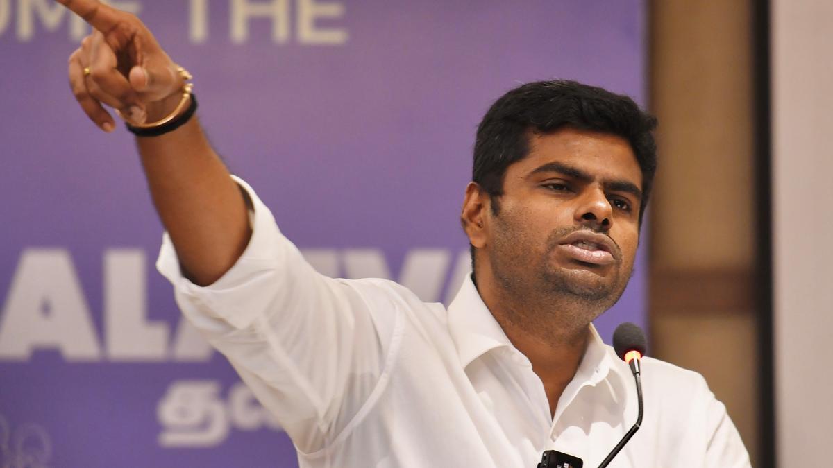 Have long-term goals in politics, says Annamalai - The Hindu