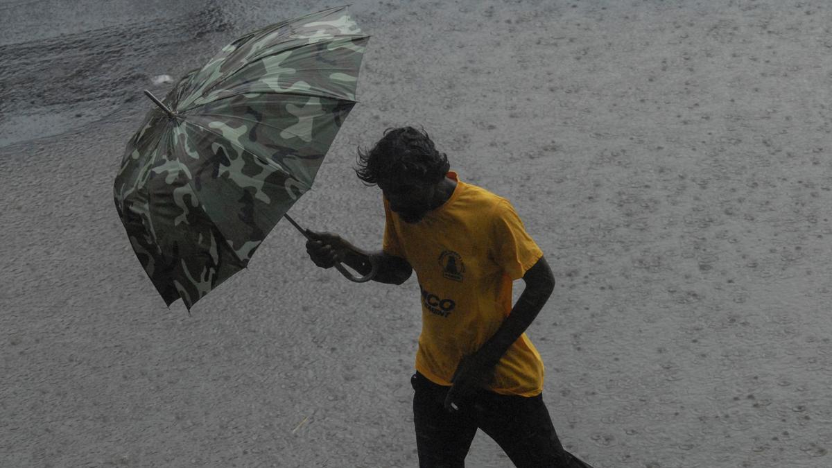 Andhra Pradesh: Rain brings respite from oppressive heat in parts of ...