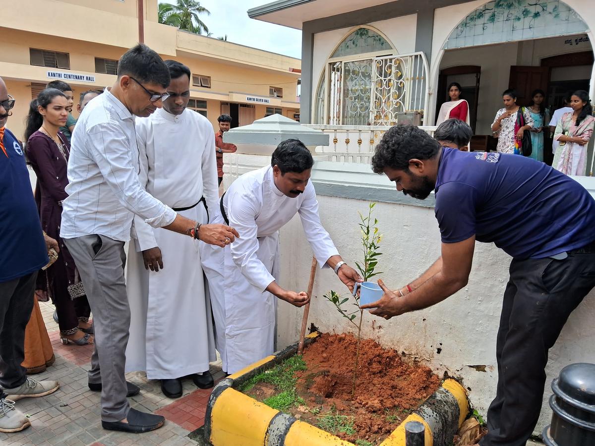 Amba Maheshwari Seva Trust plants tree saplings in and around ...