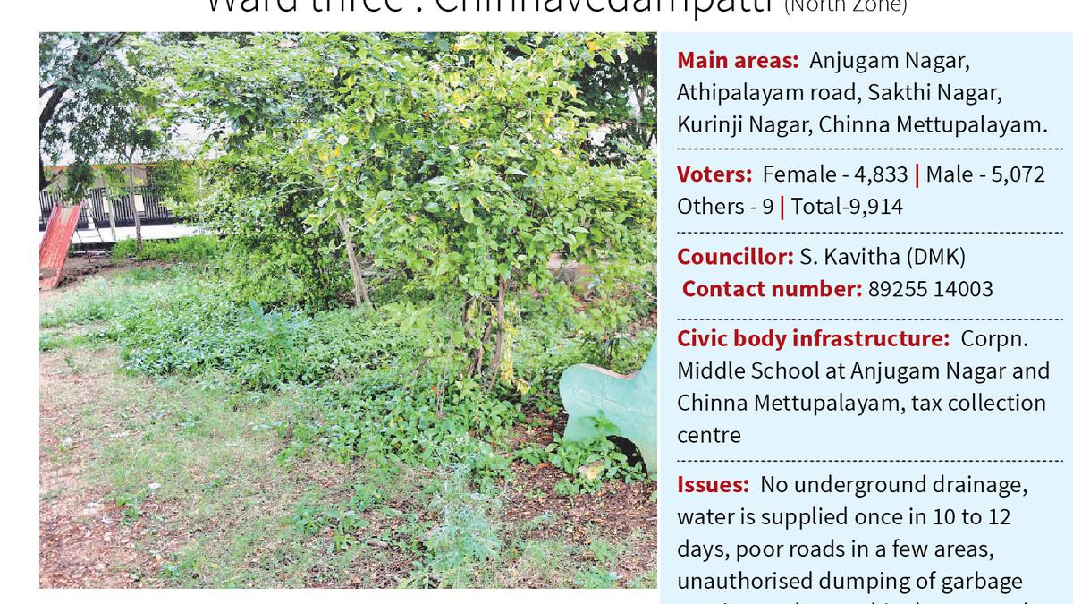 Underground drainage top priority of Chinnavedampatti residents - The Hindu