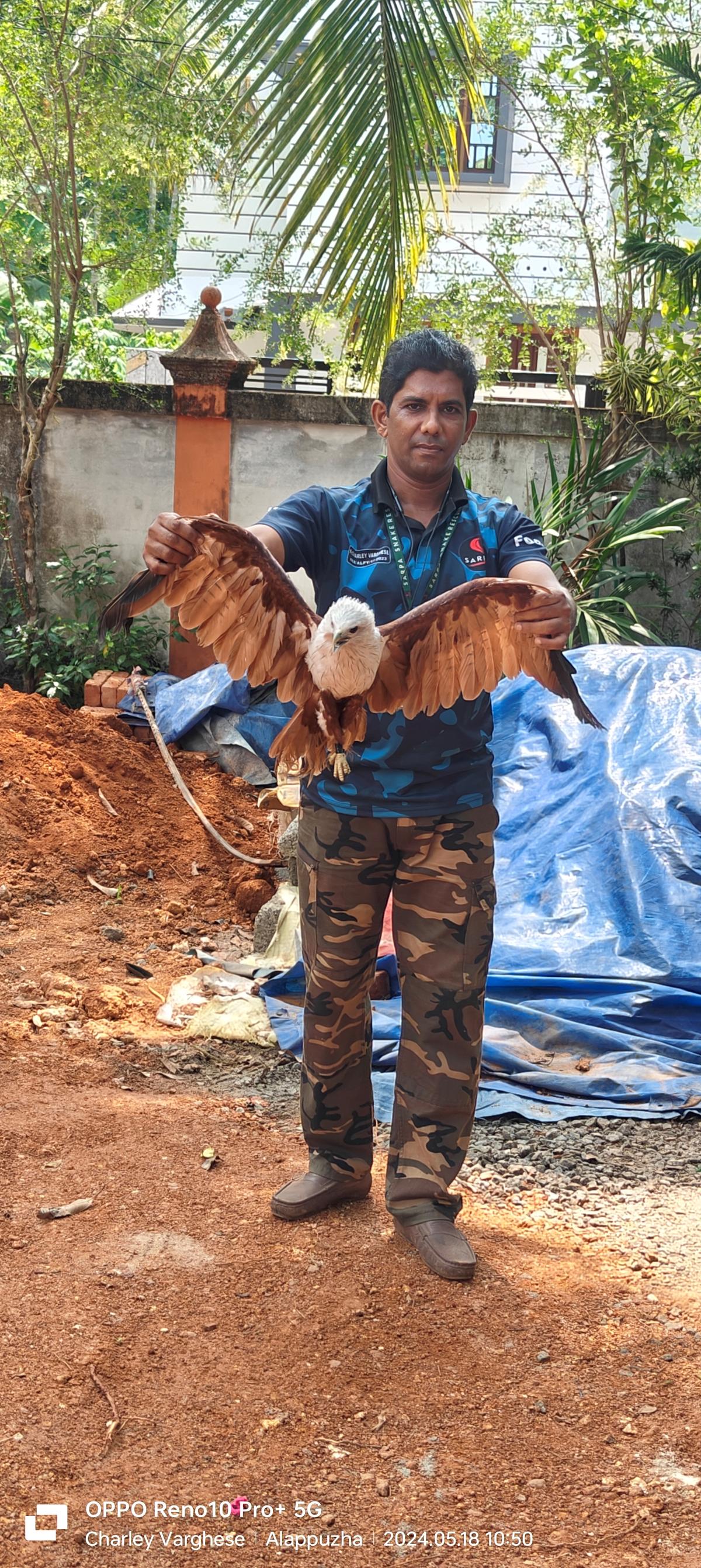 A guardian of faith and nature - The Hindu