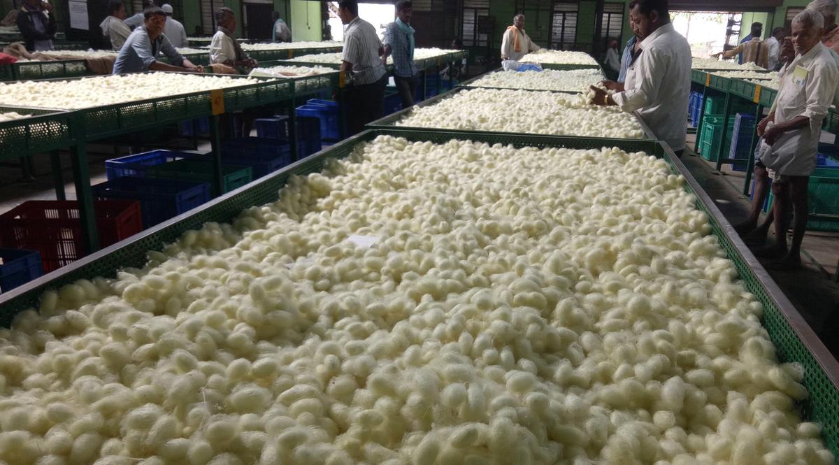 How research and advanced tech helped India boost raw silk production ...