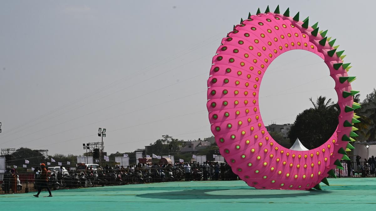 Hubballi sky dotted with myriad colours, as two-day kite festival ...