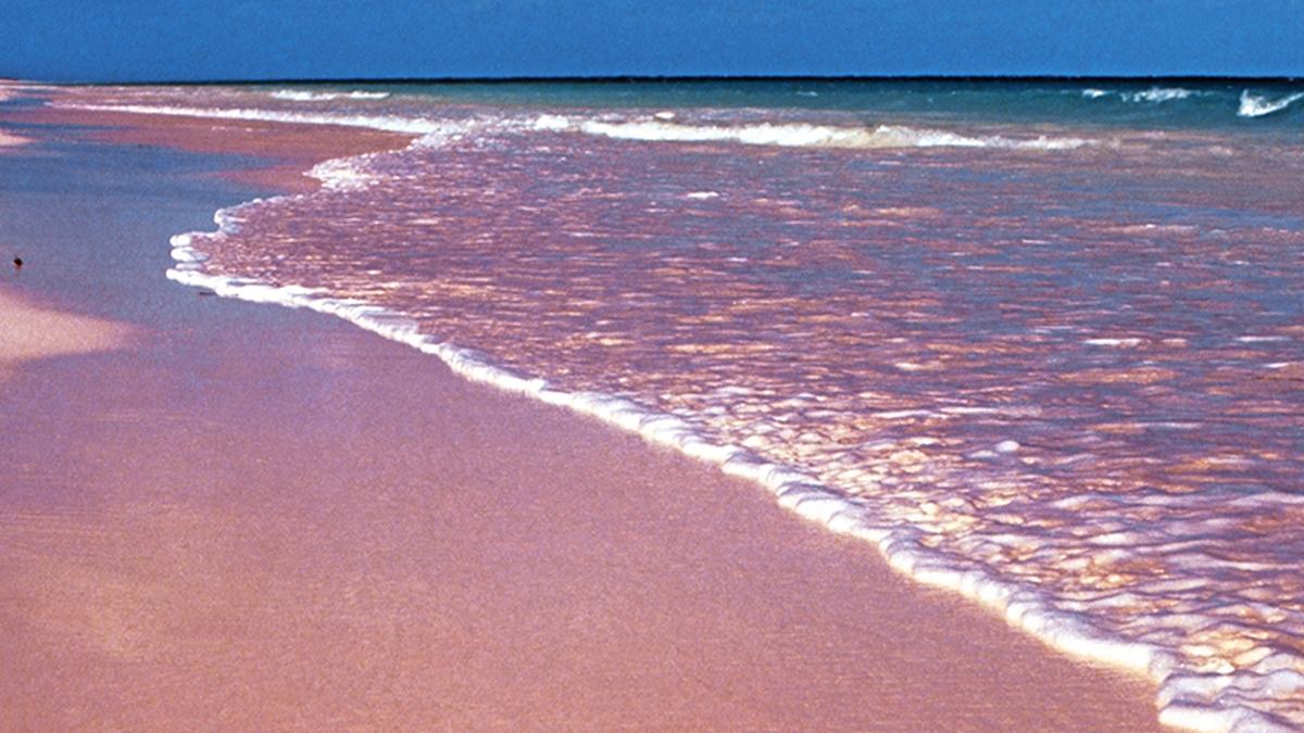 Australia’s enigmatic pink sand was born in Antarctic mountains: new ...