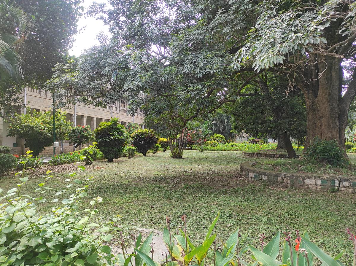 NIMHANS: A walk down the memory lane - The Hindu