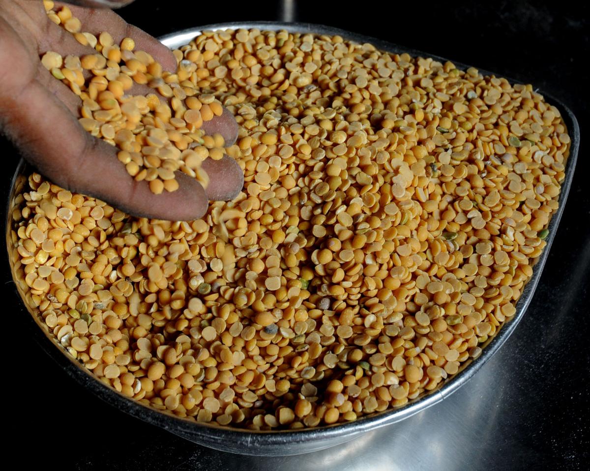 Duty-free imports for Dal extended till March 2025 - The Hindu