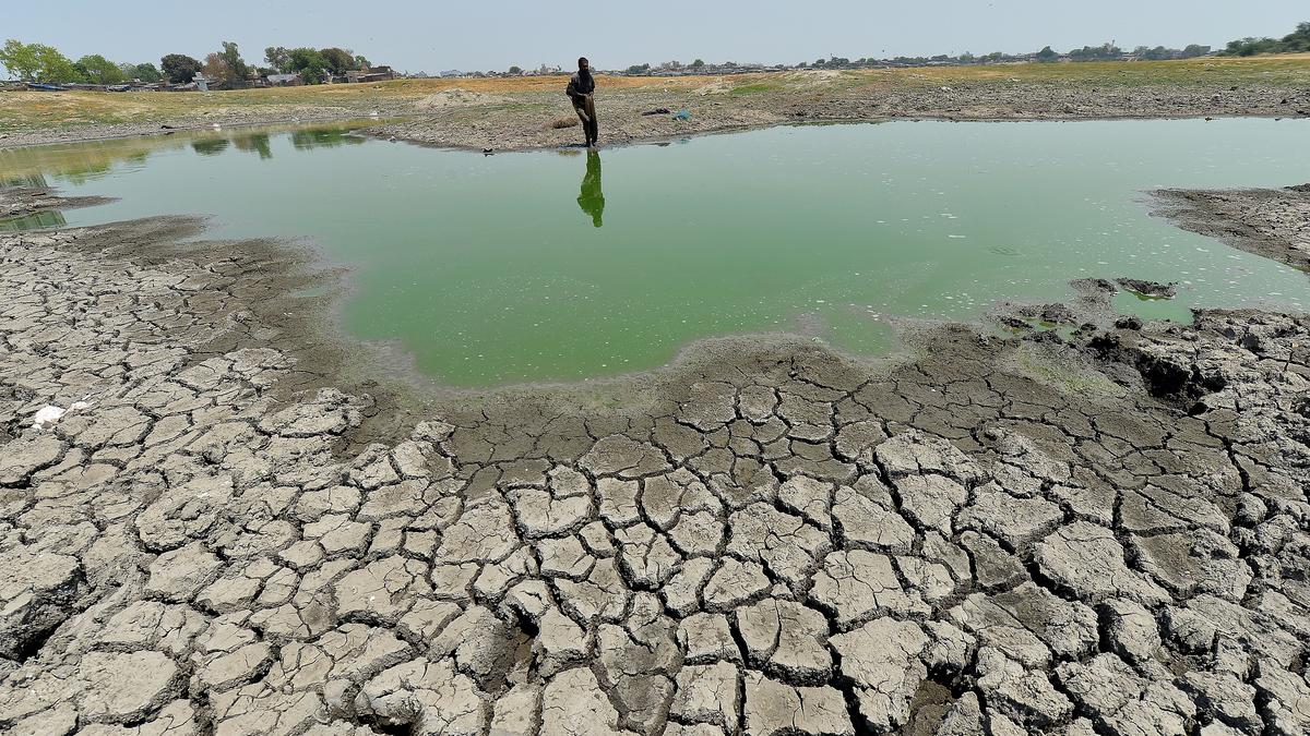 On India’s ‘heat action plans’ | Explained - The Hindu