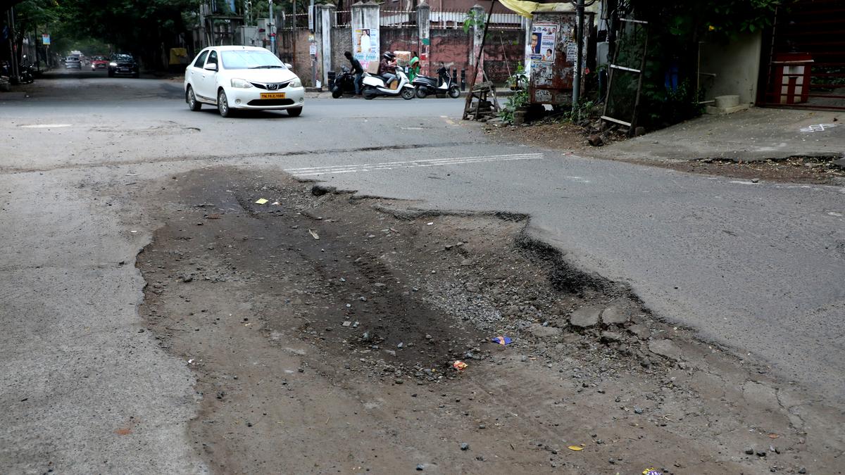 Dr. Natesan Salai, an important link road, is in bad condition - The Hindu