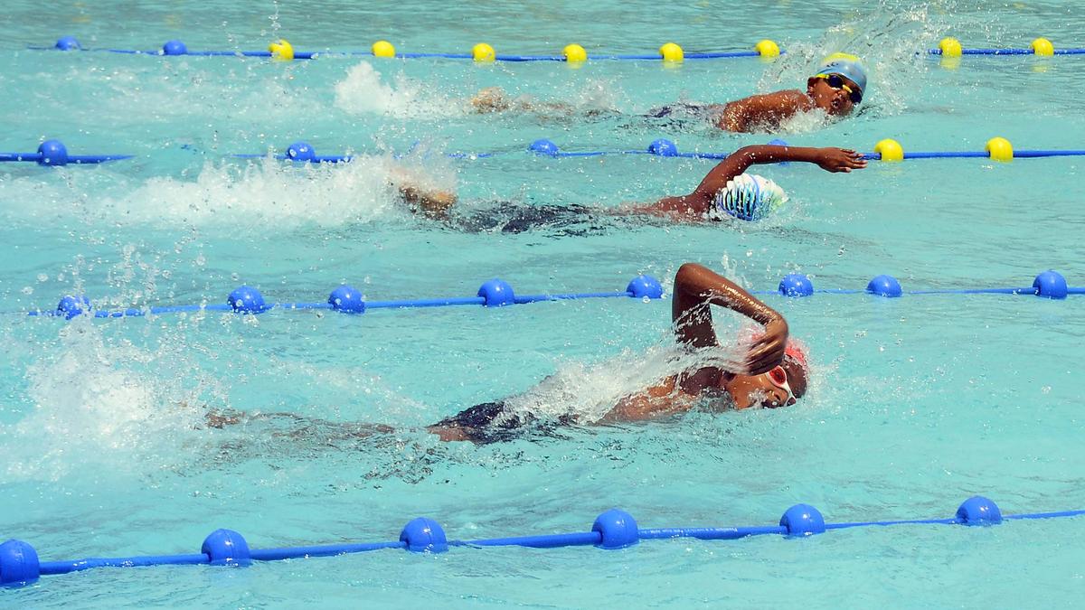 Swimming Federation of India taking steps to give diving a facelift ...