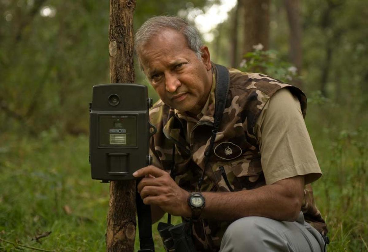 Review of Ullas Karanth’s Among Tigers: Fighting to Bring Back Asia’s ...