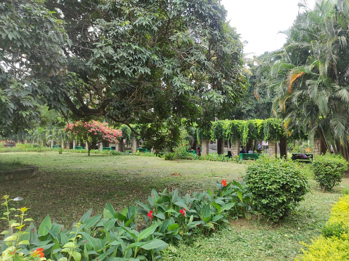 NIMHANS: A walk down the memory lane - The Hindu