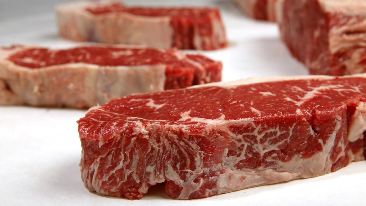 Indian start-ups to tap potential of lab-grown meat - The Hindu