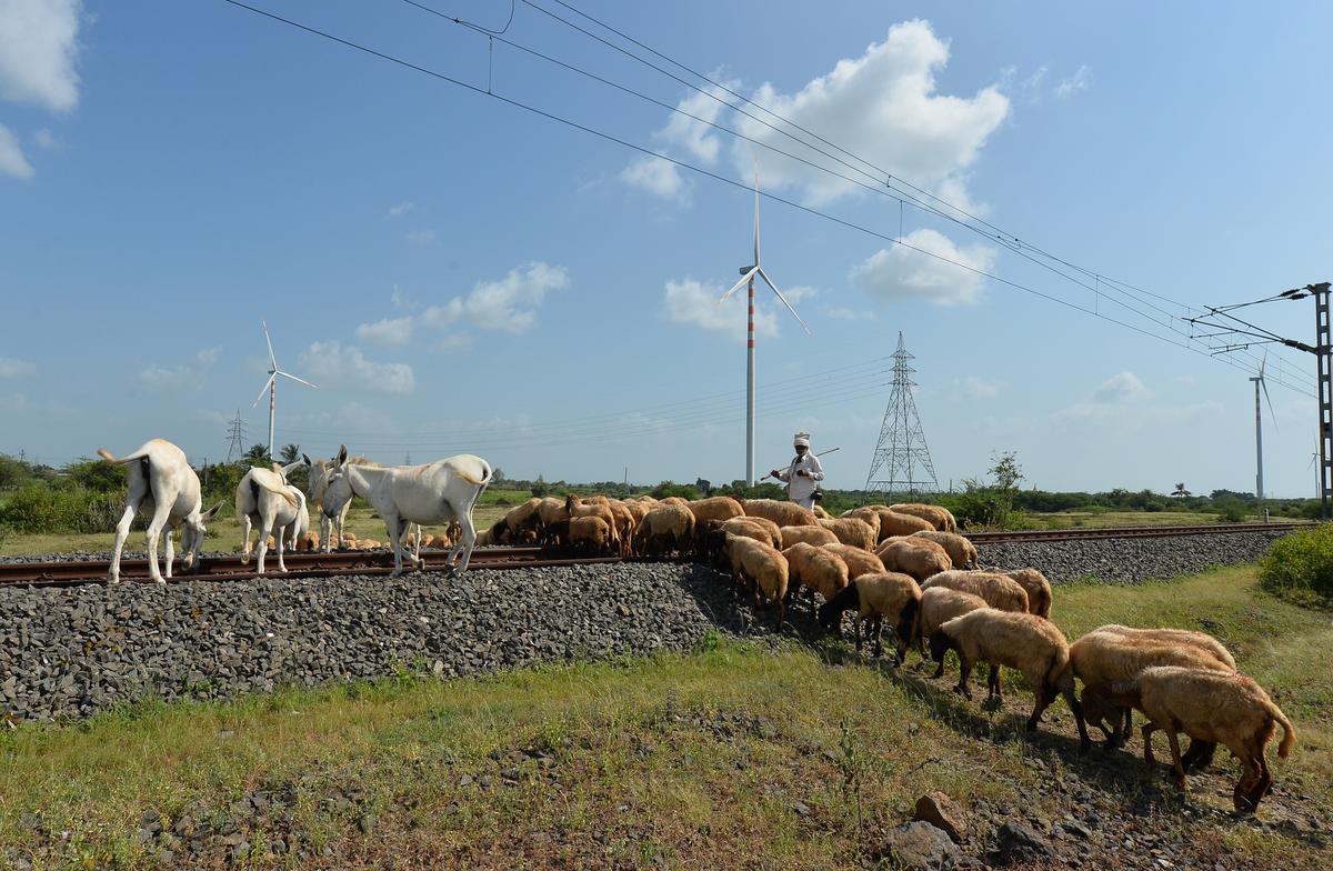 In Frames: Brains and brawn - The Hindu