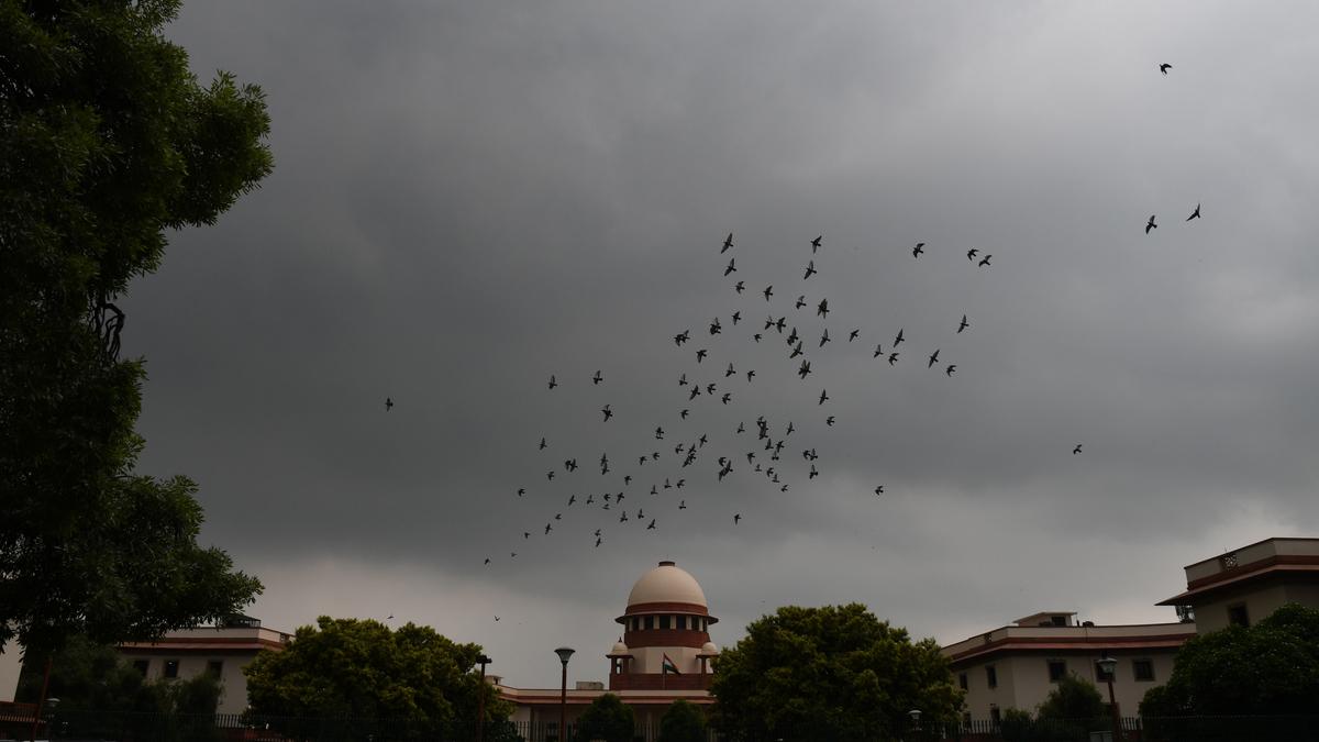 Two cheers for the top court’s ‘bulldozer’ judgment - The Hindu