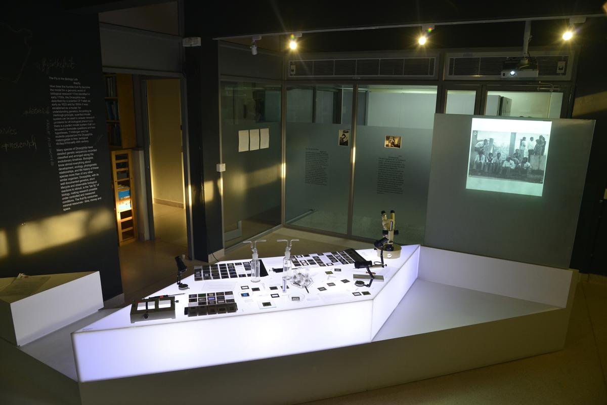 The Archives at NCBS in Bengaluru turns five - The Hindu