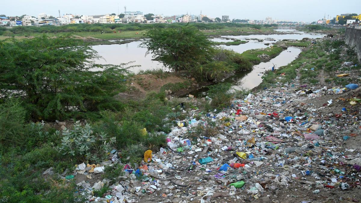 Court seeks response on plea to devise plan to save Vaigai, Cauvery and ...