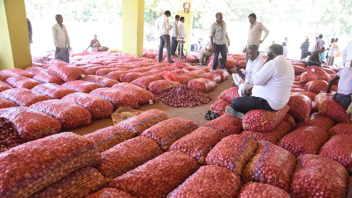 Onion procurement by A.P. govt. to be stopped from September 22 as compensation announced for ...