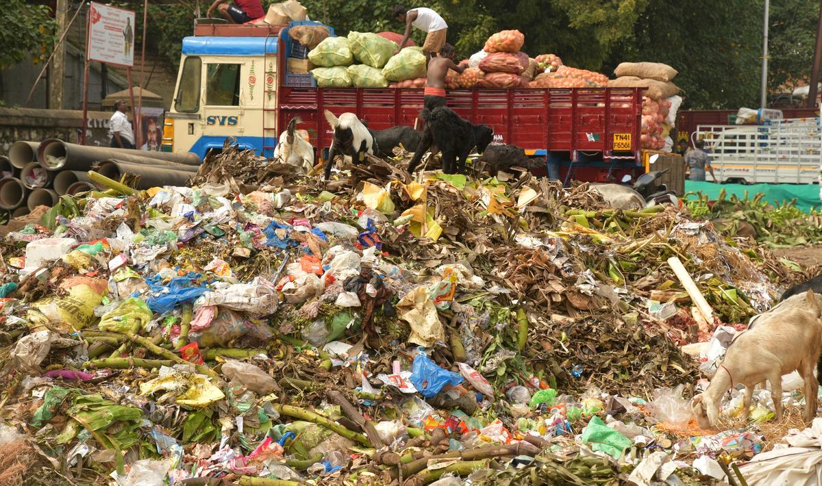 Modern bins installed at banana market in Tiruchi - The Hindu