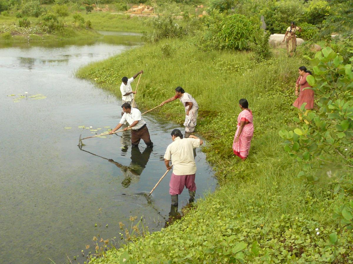 Have you been to Chennai’s Tholkappia Poonga? Meet the ecologist behind ...