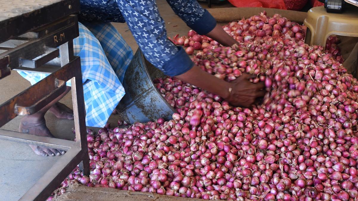 Double trouble for households as shallots take the tomato route - The Hindu