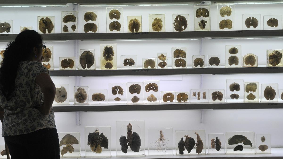 ‘Understanding how and why people go mad has been a critical aspect of ...