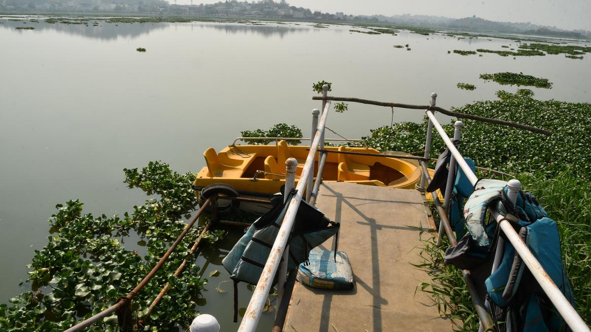 Three islands with birds paradise, adventure park and more directed to ...