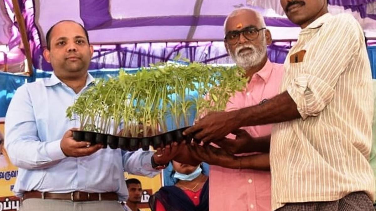 Welfare assistance handed over to 211 beneficiaries at Talavadi in ...