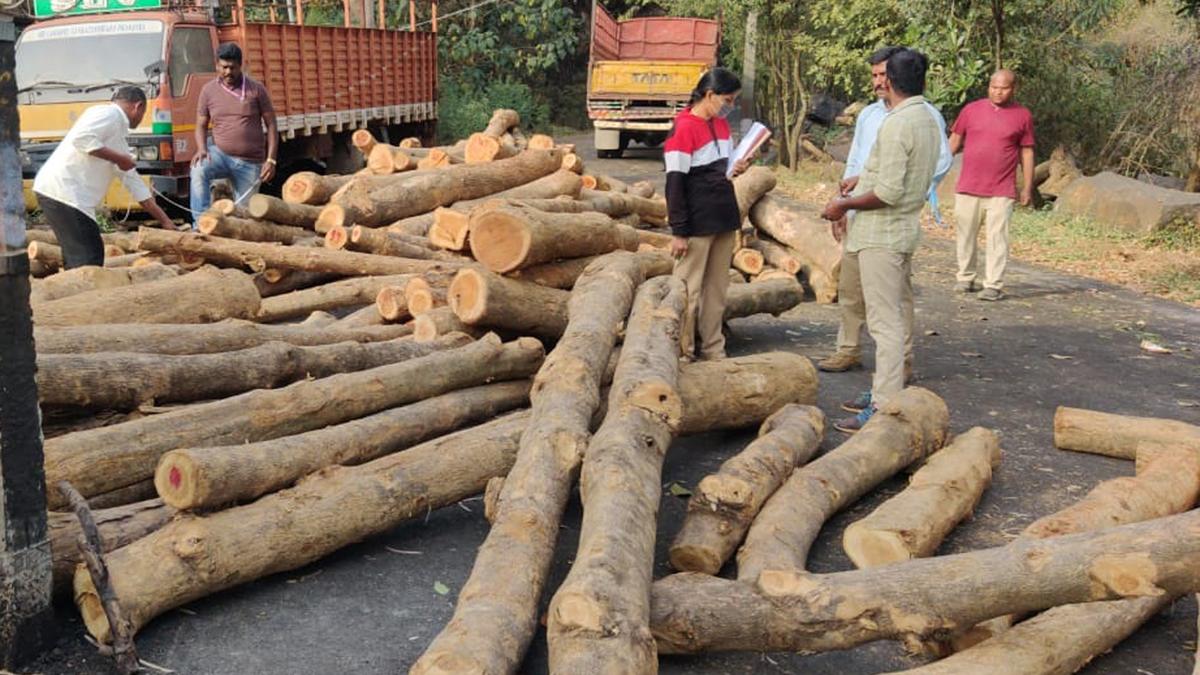 Timber smuggling racket unearthed, 164 teakwood logs seized - The Hindu