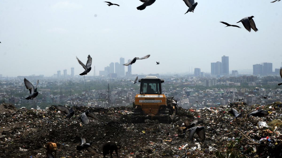 L-G asks MCD officials to submit plan on razing Delhi’s garbage ...