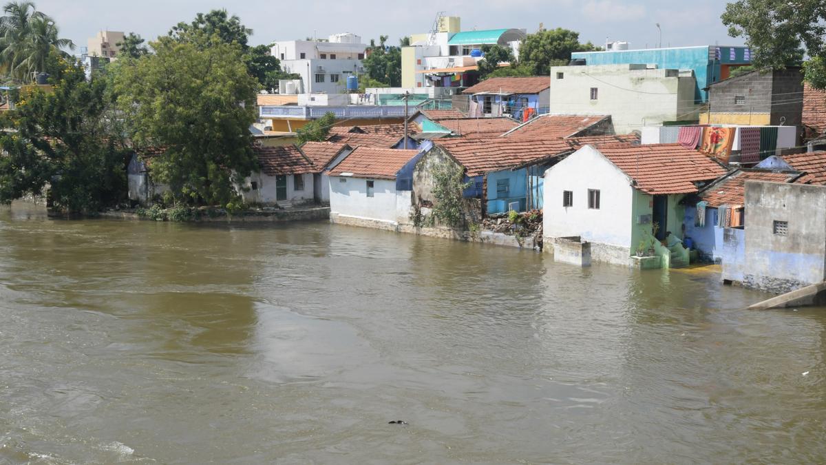 More than 80 houses flooded in Erode district - The Hindu