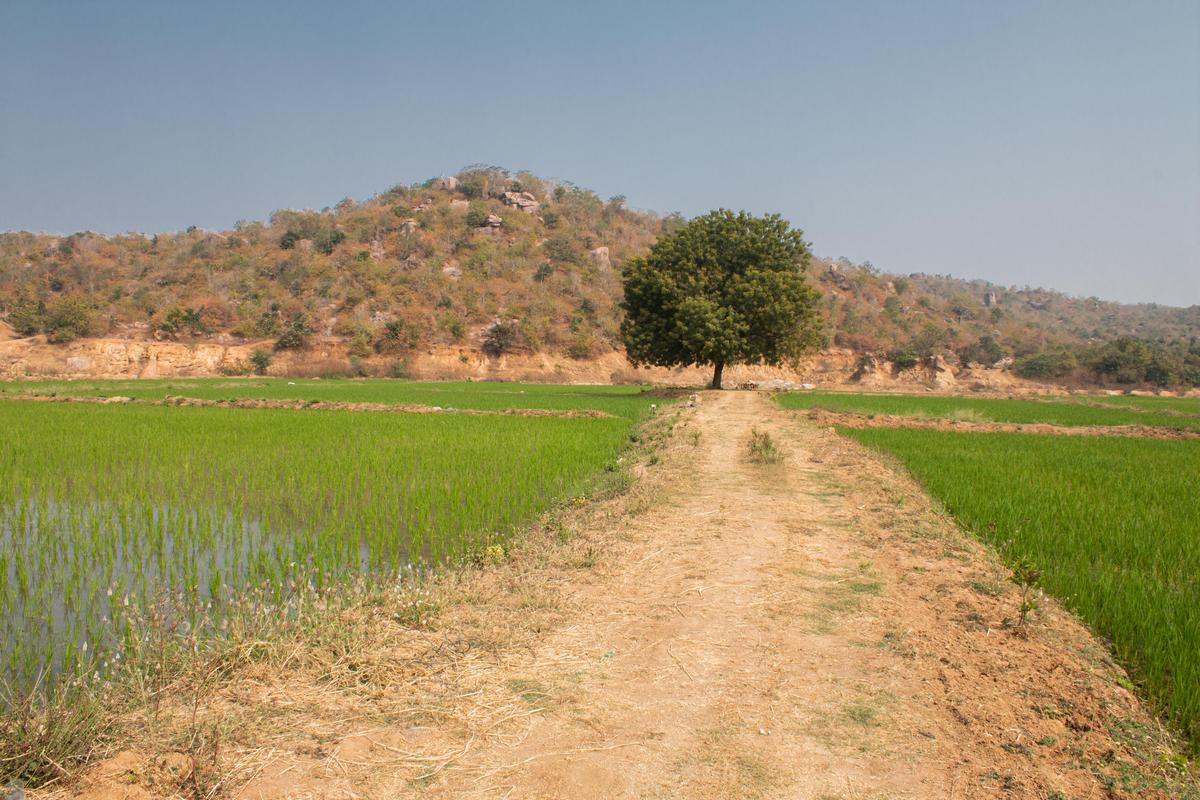 Telugu film ‘Gandhi Thata Chettu’ looks for crowd investment through ...