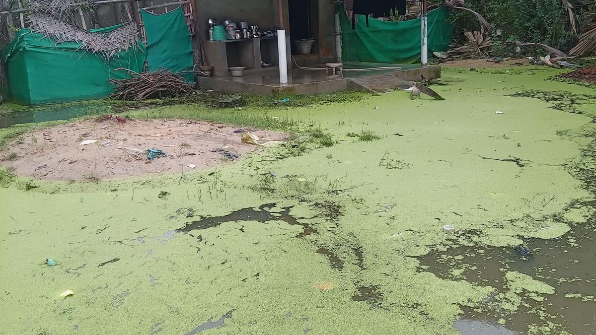 Fisher hamlets in Sirkazhi reel under water stagnation, sea erosion ...