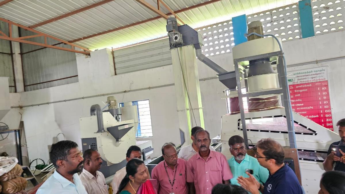 At first, a FPO based in Madurai, sets millet processing unit at ...