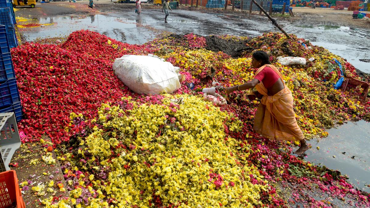 Chennai Metropolitan Development Authority floats tender for waste ...