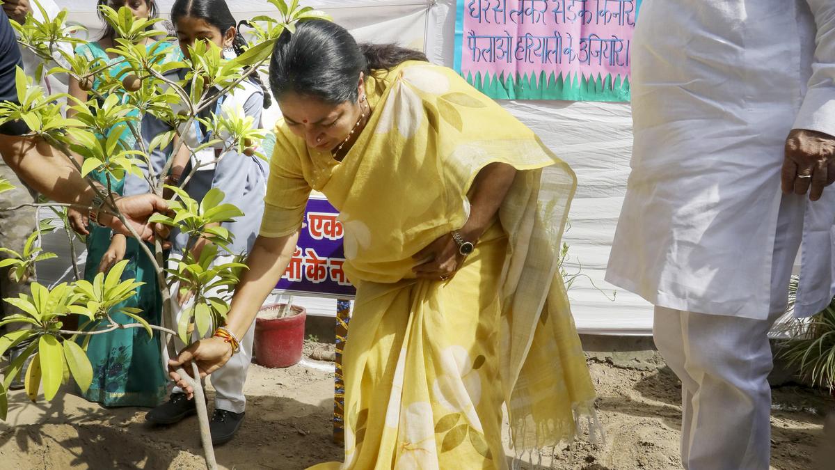 Govt. to plant 70 lakh saplings this year: CM Rekha Gupta - The Hindu