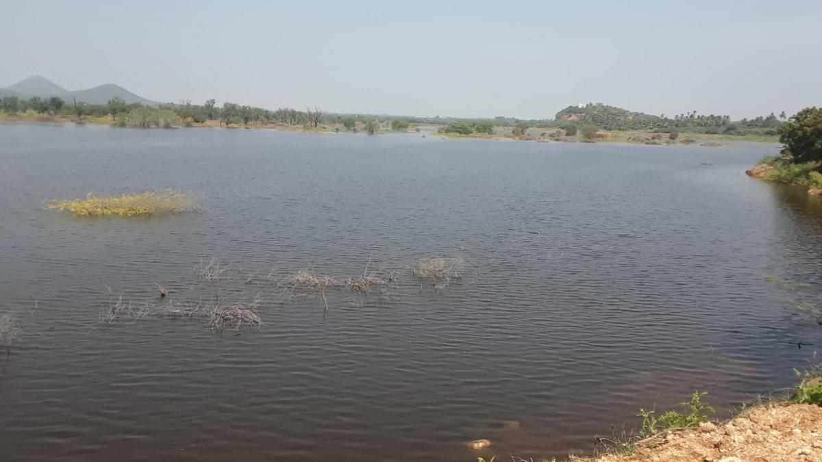 Call to clean lake near Sipcot at Perundurai in Erode using eco-bio ...