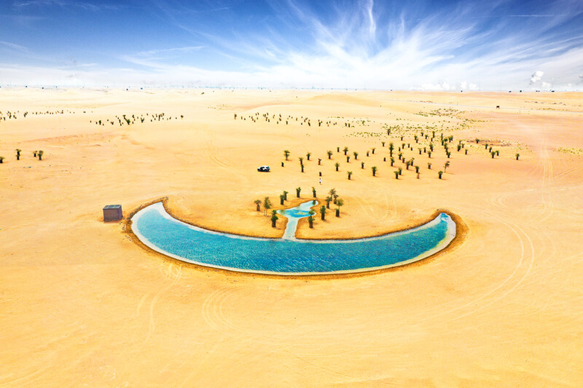 Al Marmoom: Where Nature and Adventure Unite - The Hindu