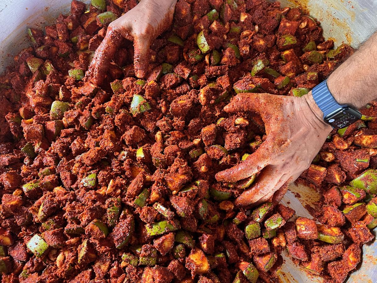 Have you made avakai this season? - The Hindu